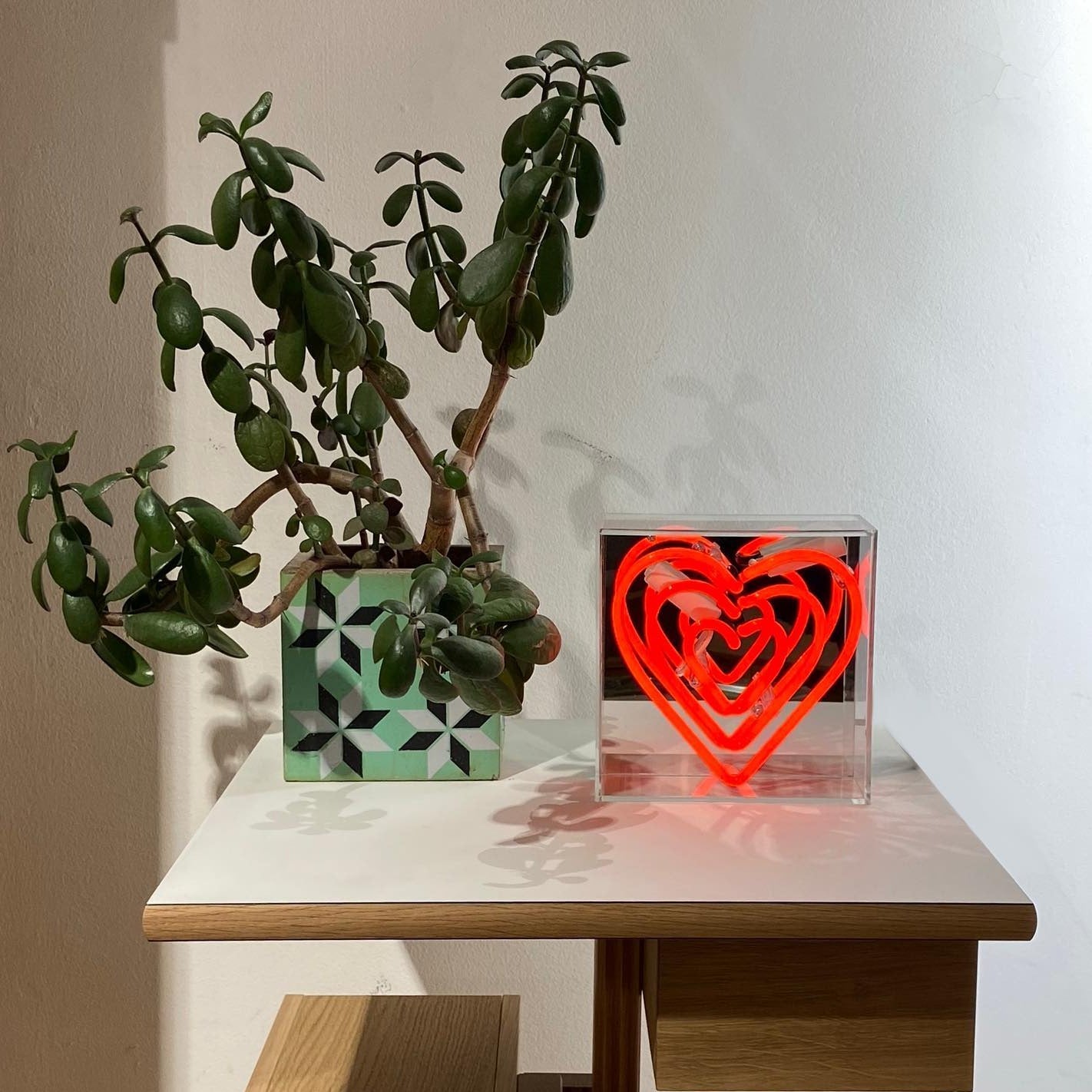 'Heart' Mini Acrylic Box Neon Light – Locomocean USA