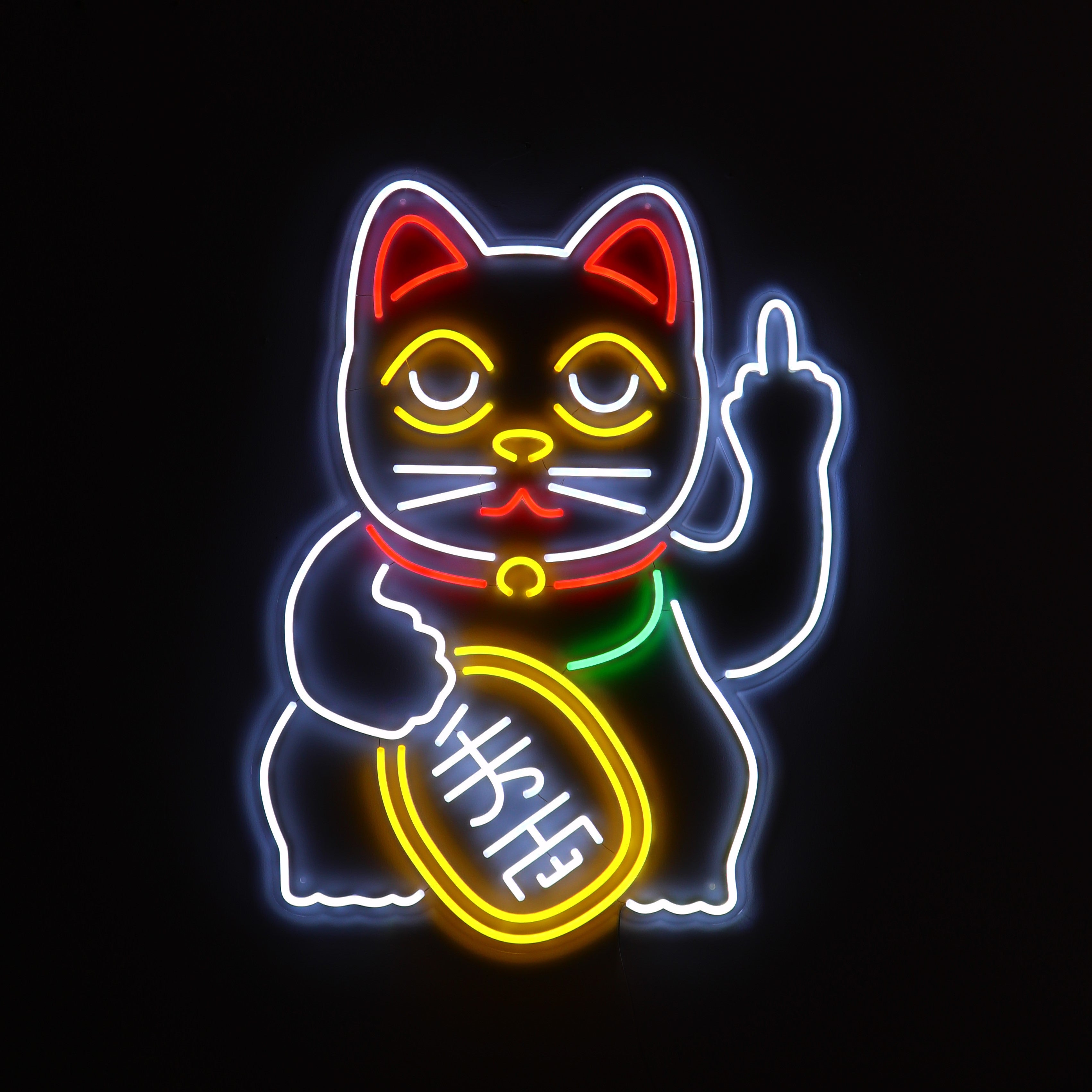 'Cattitude' Neon LED Wall Mounted Sign – Locomocean USA